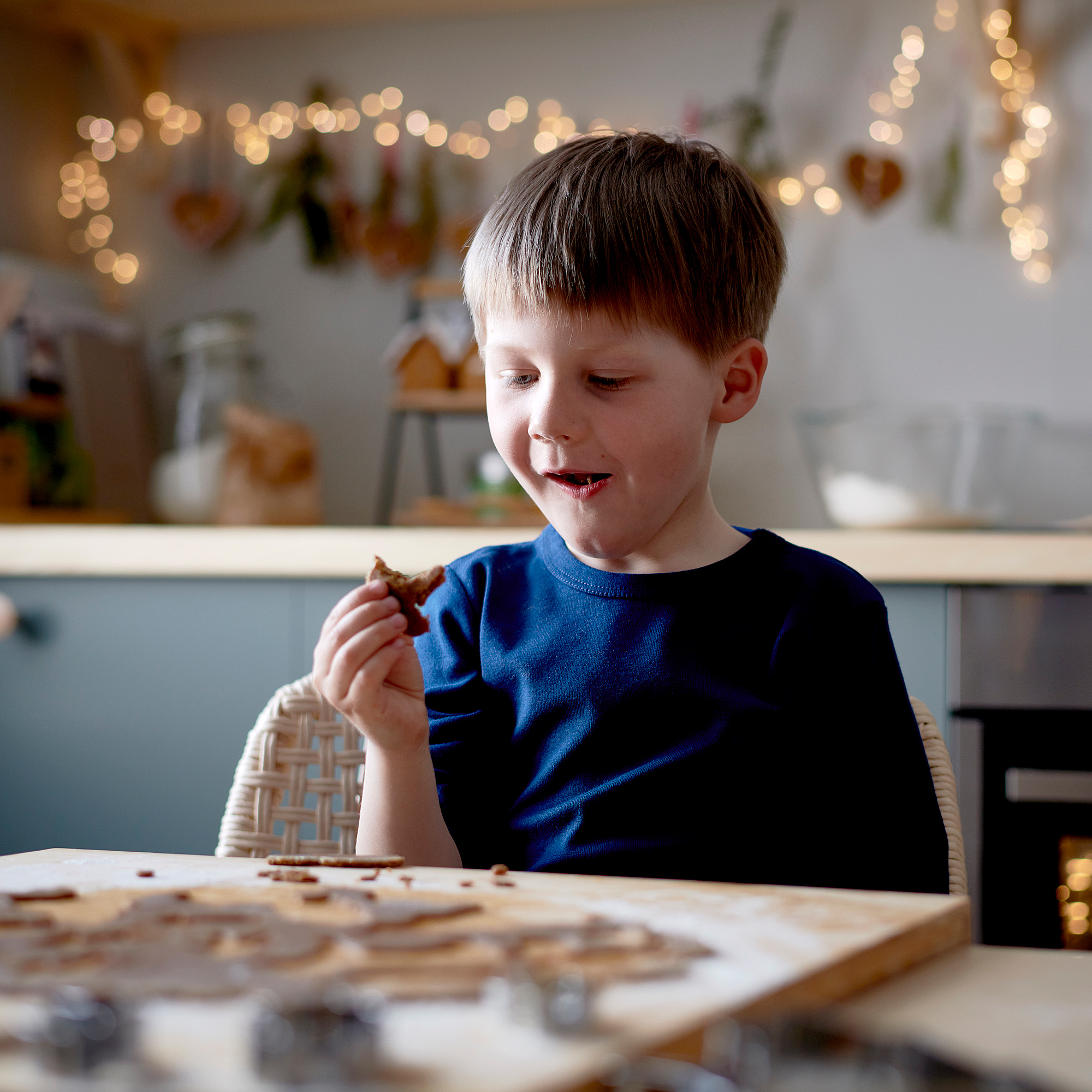 VINTERSAGA - gingerbread dough, frozen, 500 g | IKEA Taiwan Online