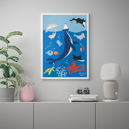 BILD - poster, ocean animals, 50x70 cm | IKEA Taiwan Online