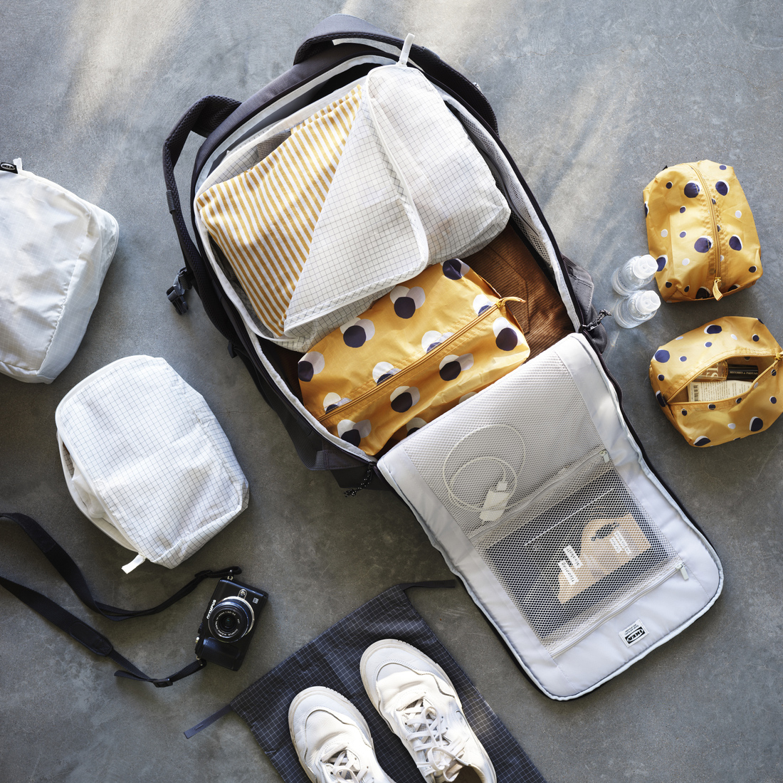 IKEA Family member card｜IKEA online shopping