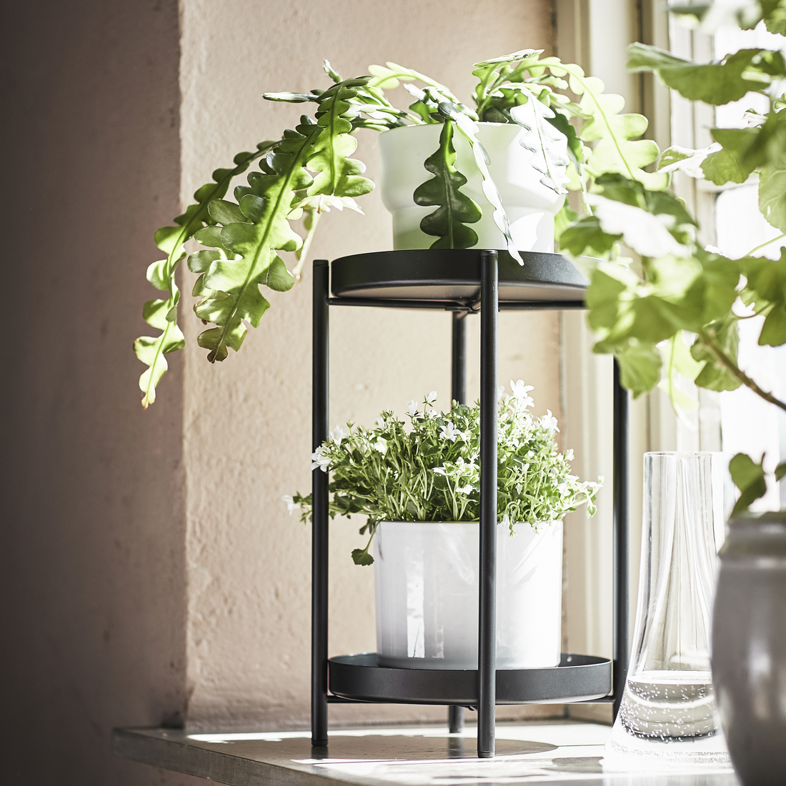 IKEA Family member card｜IKEA online shopping